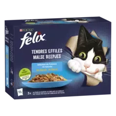 Félix chat: le goût et la qualité des produits pour les chats